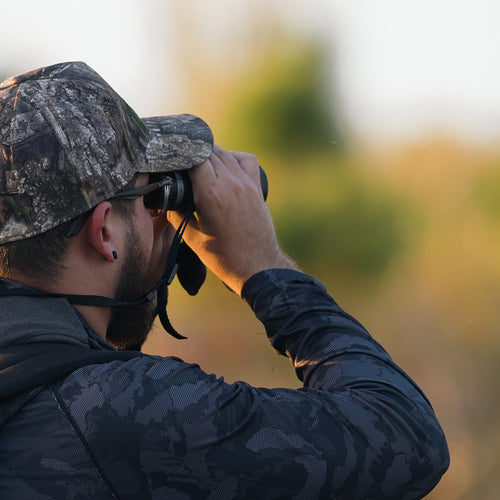 The Basics of Birdwatching: A Simple Guide for First-Timers ...