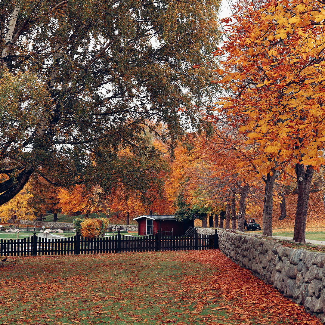 November Hunting Guide: Tips and Essential Gear for a Successful Hunt ...